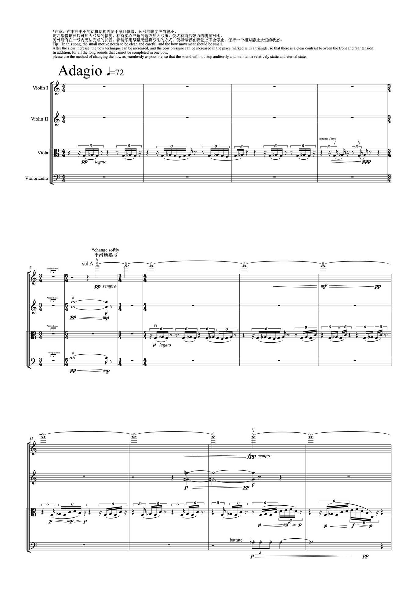 Emsemble Music: Portrait